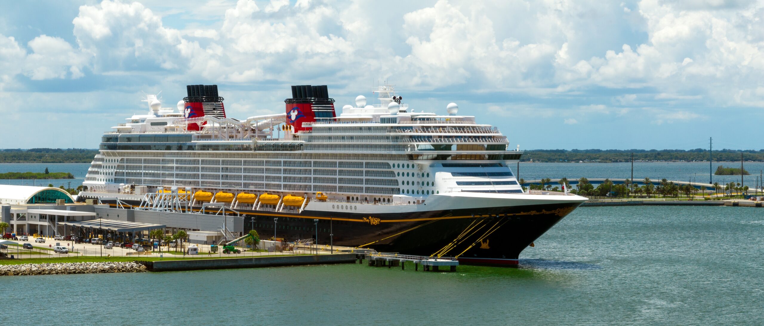 Disney Cruise Group Trip One | Special Journeys